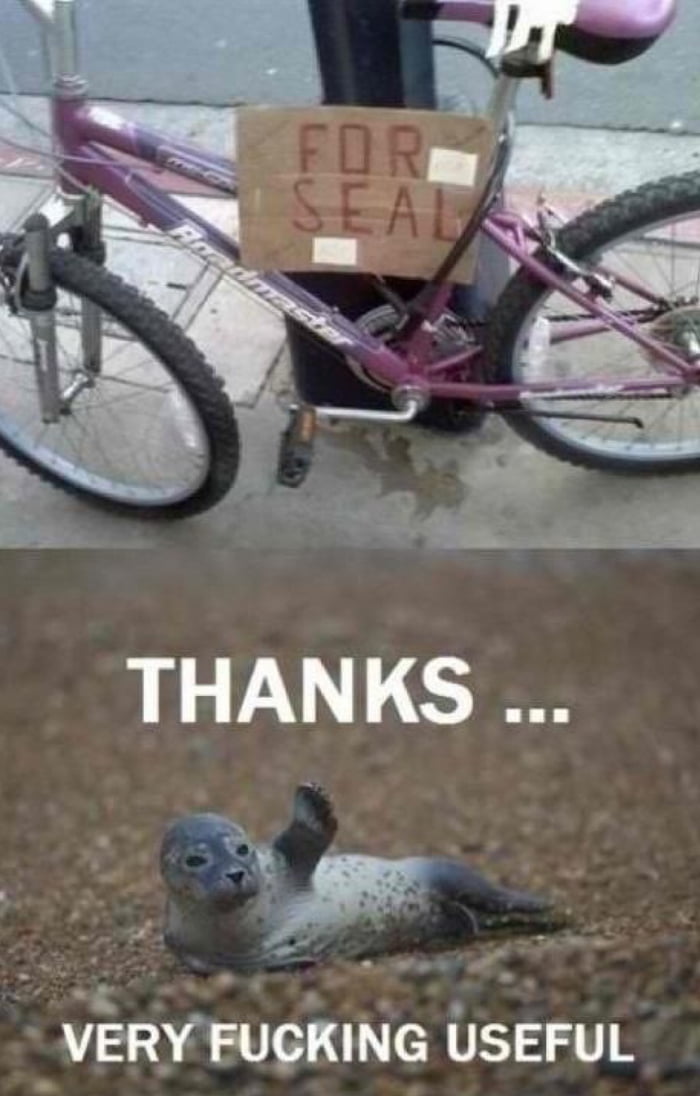 Bike for seal - 9GAG