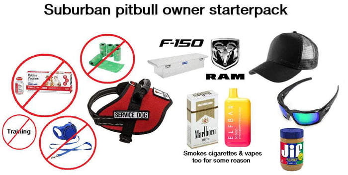 Your local neighborhood pitbull owner starter pack - 9GAG