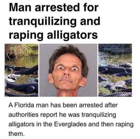 Best Funny alligators Memes - 9GAG