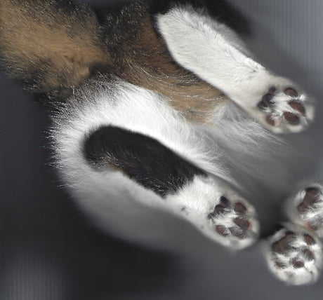 Best Funny scanner Memes - 9GAG