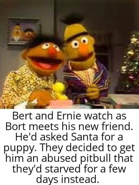 Best Funny ernie Memes - 9GAG