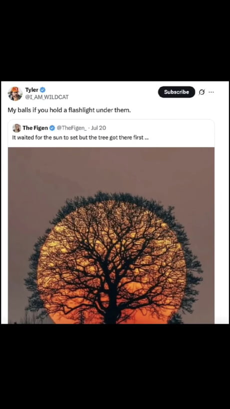 Best Funny tree Memes - 9GAG