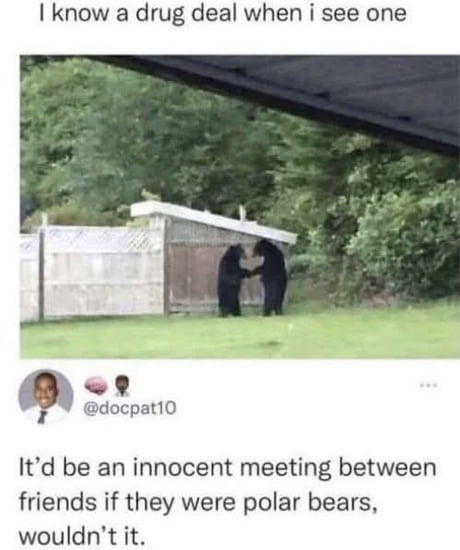 Funny Blm Memes 34 Funny "Nosferatu" Memes To Sink Your Teeth Into