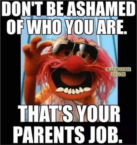 Best Funny muppets Memes - 9GAG
