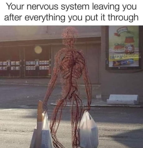 Nervous System Memes When I Thought Of This I Was Going To Share It As