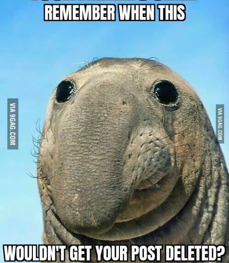 9gag Funniest Memes 9GAG: Go Fun The World | Google AI Overview Fails