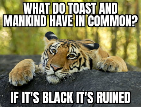 Best Funny tiger Memes - 9GAG