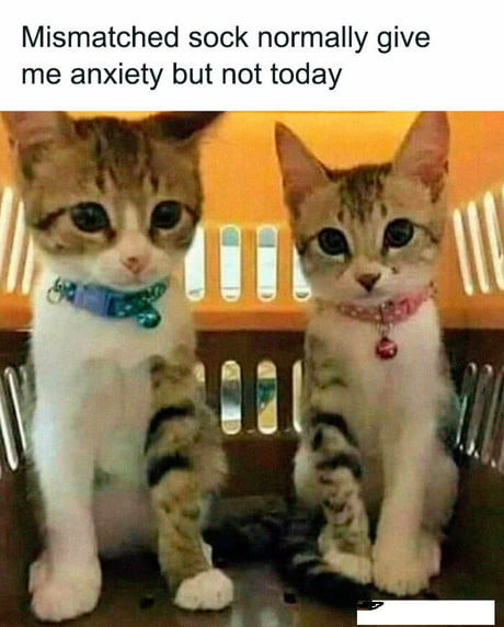 Best Funny socks Memes - 9GAG