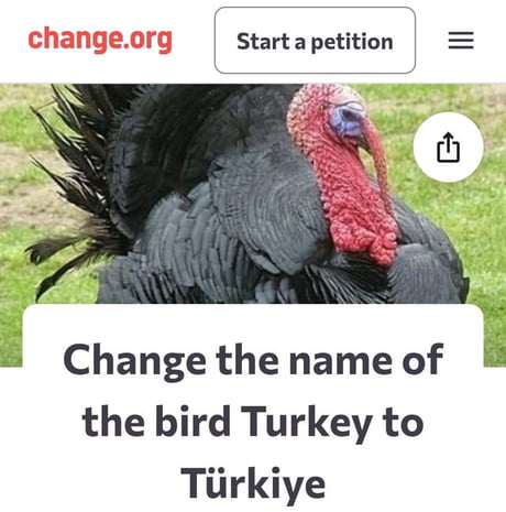 Best Funny türkiye Memes - 9GAG