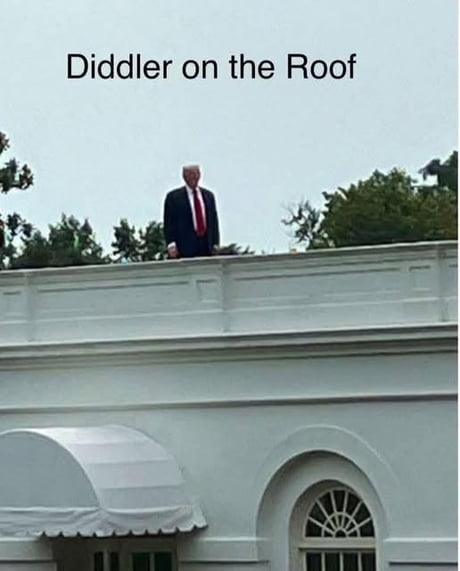 Best Funny orange man Memes - 9GAG