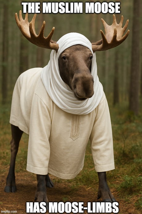 Moose Memes