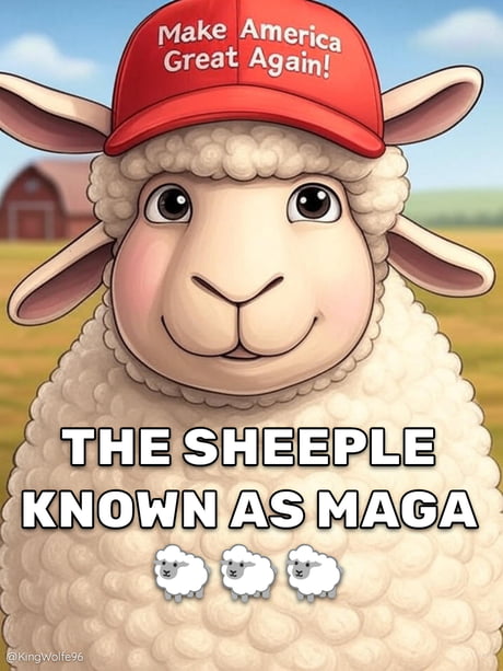 Best Funny sheeple Memes - 9GAG