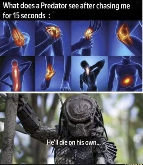 Online Predator Meme