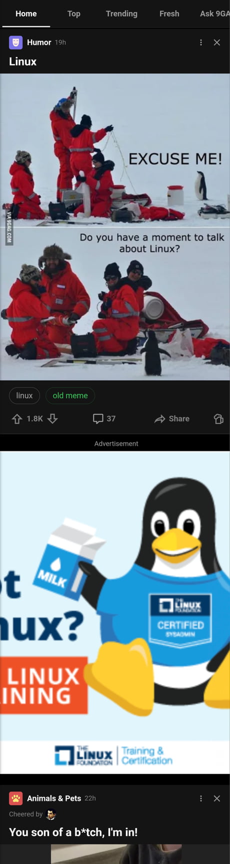 Best Funny linux Memes - 9GAG