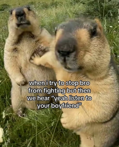 Best Funny fighting Memes - 9GAG