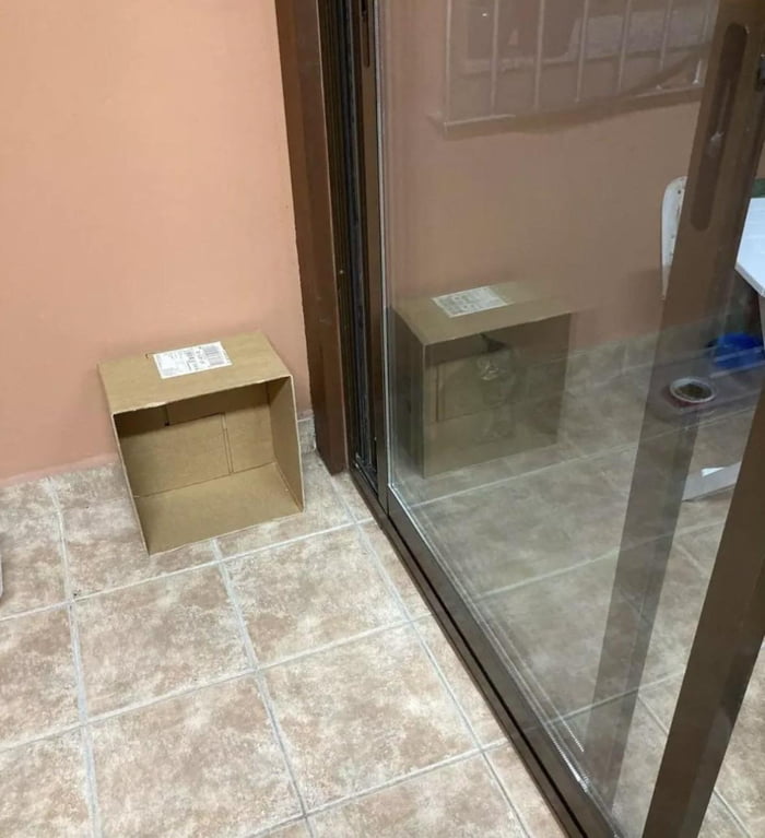 Quantum mechanics in action. - 9GAG