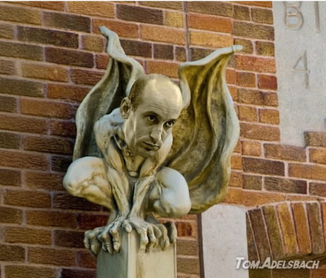 Best Funny stephen miller Memes - 9GAG