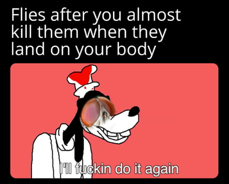 Best Funny goofy Memes - 9GAG