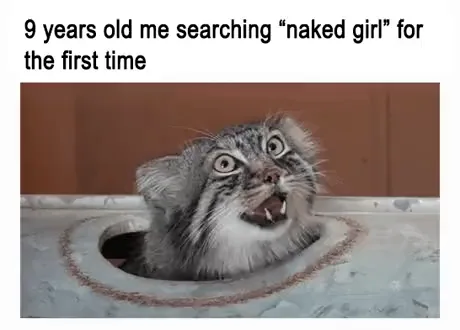 Funny Curiosity Memes