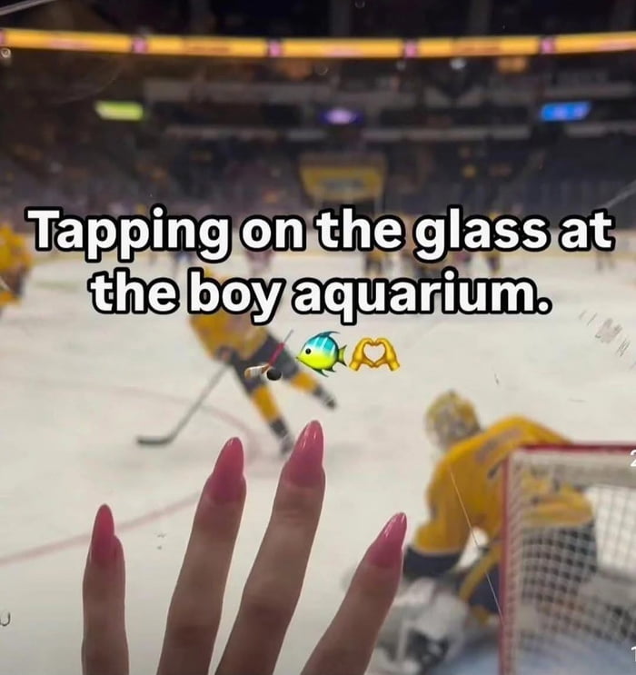 Observing the local fauna - 9GAG