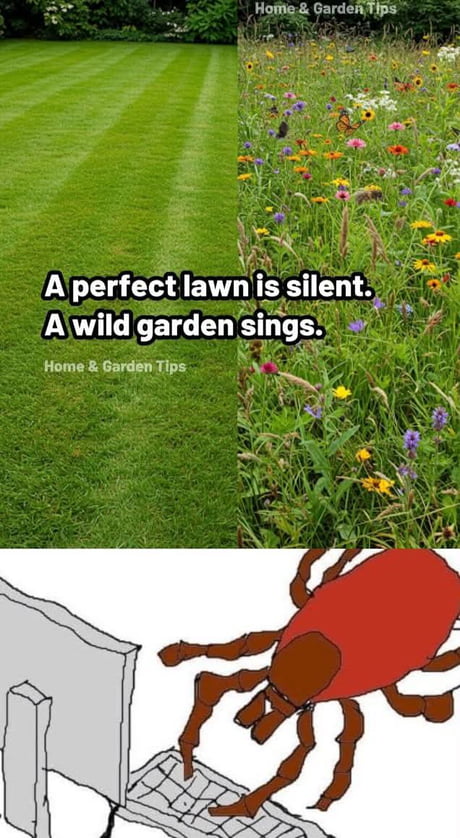 Funny Tick Memes 17 Hilarious (And Heartbreaking) Reactions To