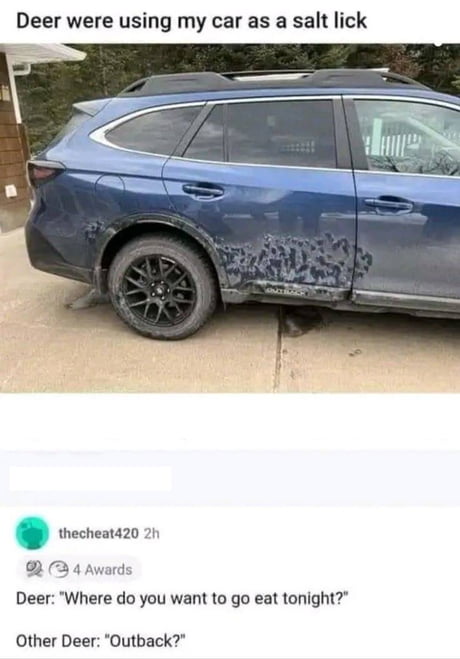 Best Funny salt Memes - 9GAG