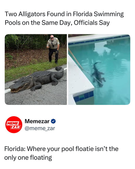 Alligators Memes