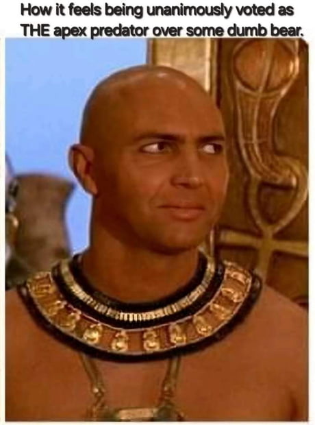 Best Funny the mummy Memes - 9GAG