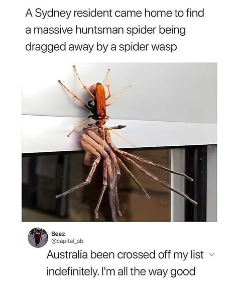 Funny Australia 🇦🇺 Memes - 9GAG
