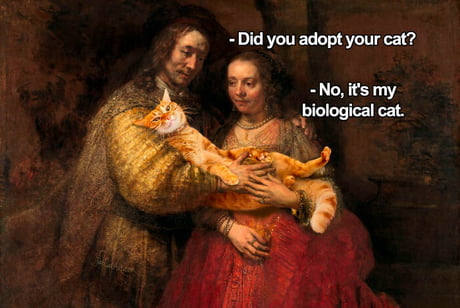 Best Funny adoption Memes - 9GAG