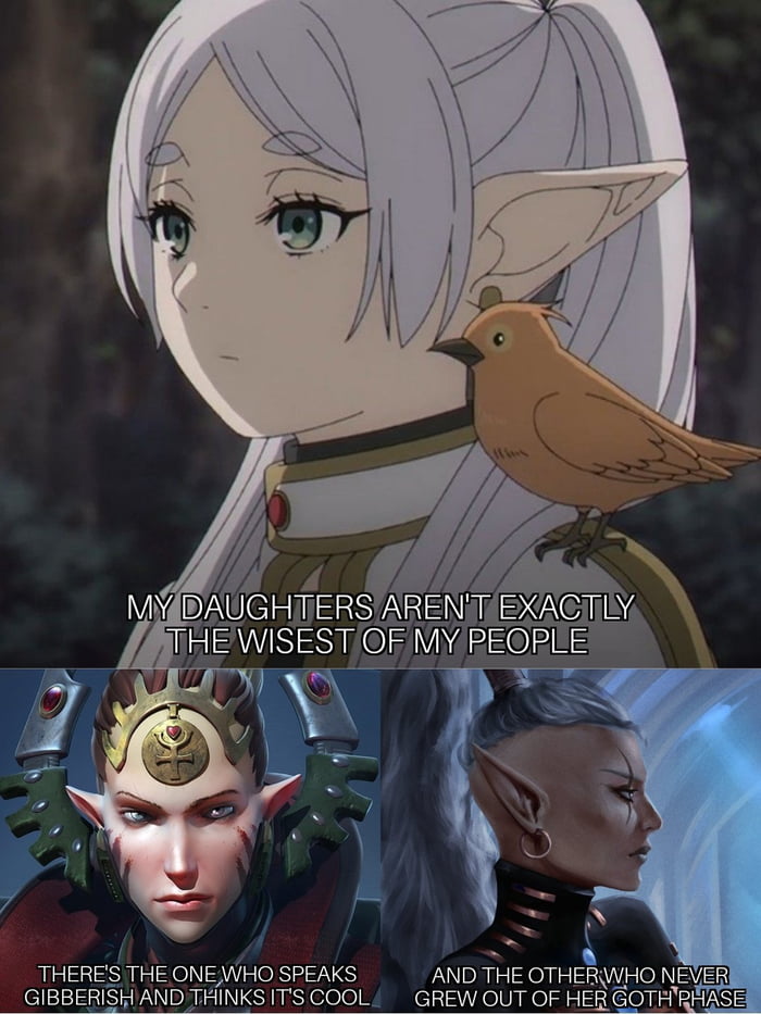 Frieren 40k 1 - 9GAG
