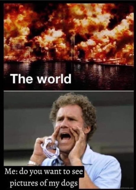 Will Ferrell Meme 99 Problems