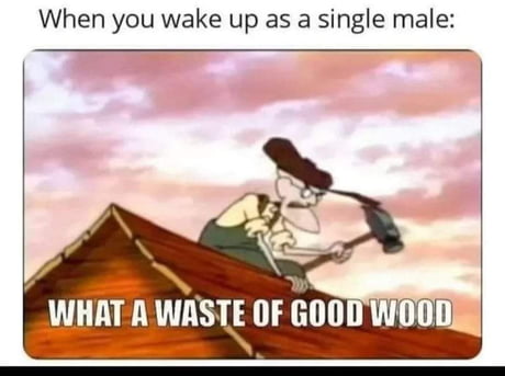 Best Funny wood Memes - 9GAG