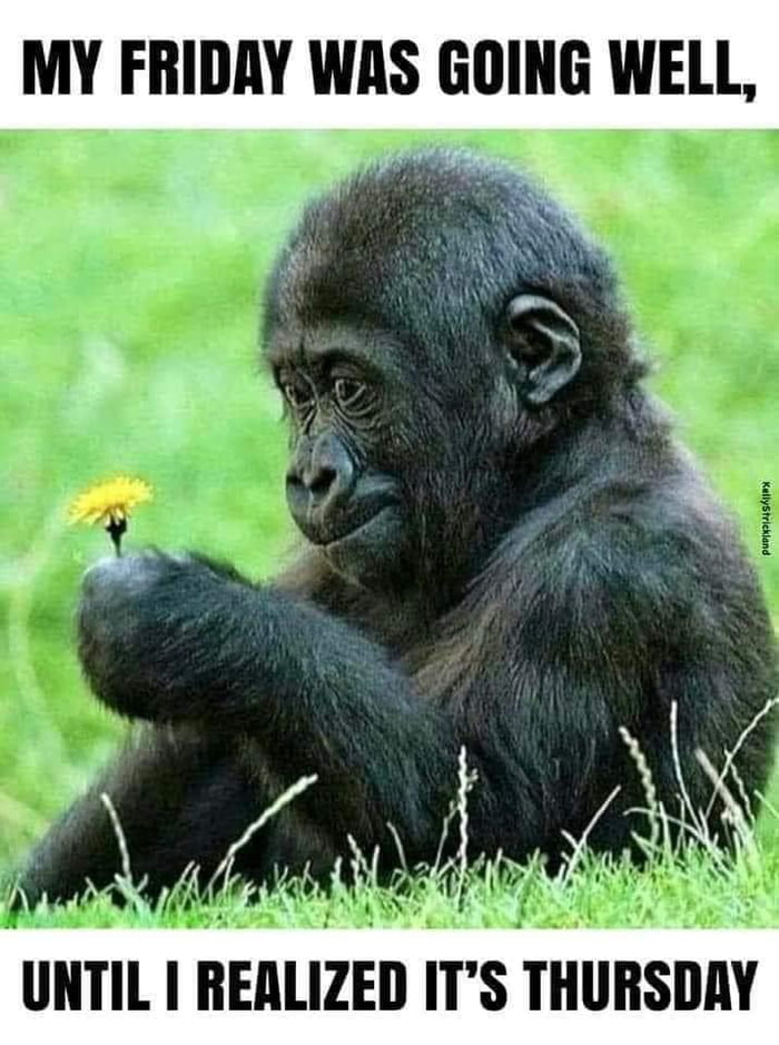 TGIF because yesterday took a bad turn... - 9GAG