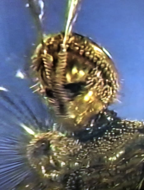 Best Funny district 9 Memes - 9GAG