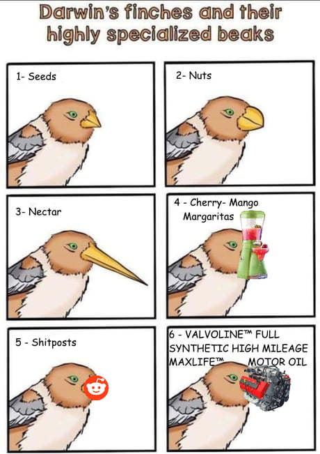 Best Funny shitpost Memes - 9GAG