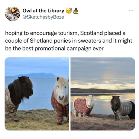 Best Funny scotland Memes - 9GAG