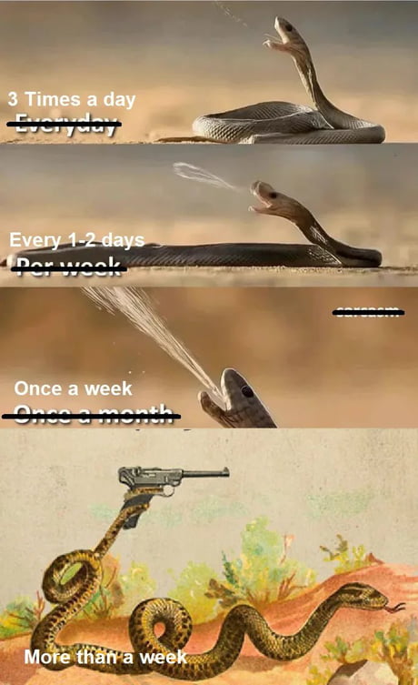Best Funny goon Memes - 9GAG
